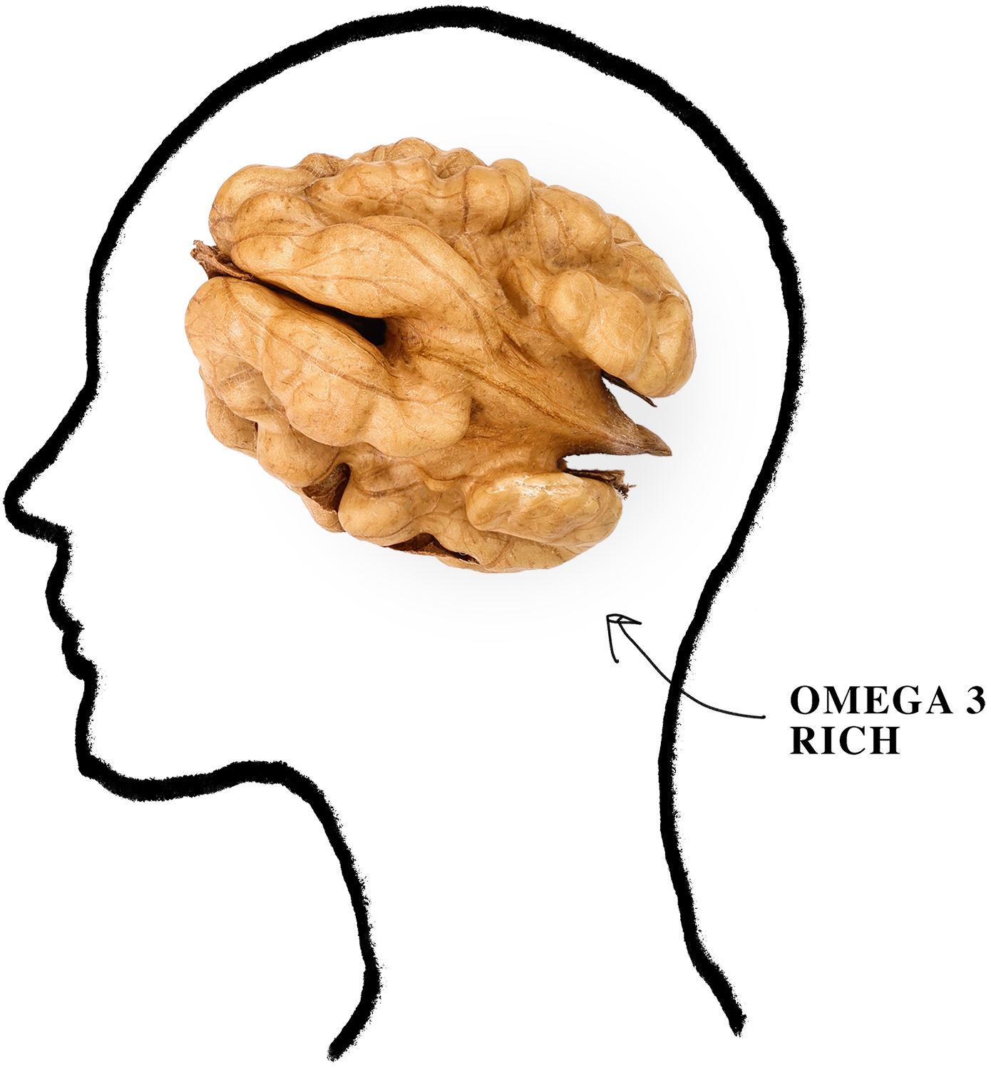 Nutrition | Vitality Walnuts